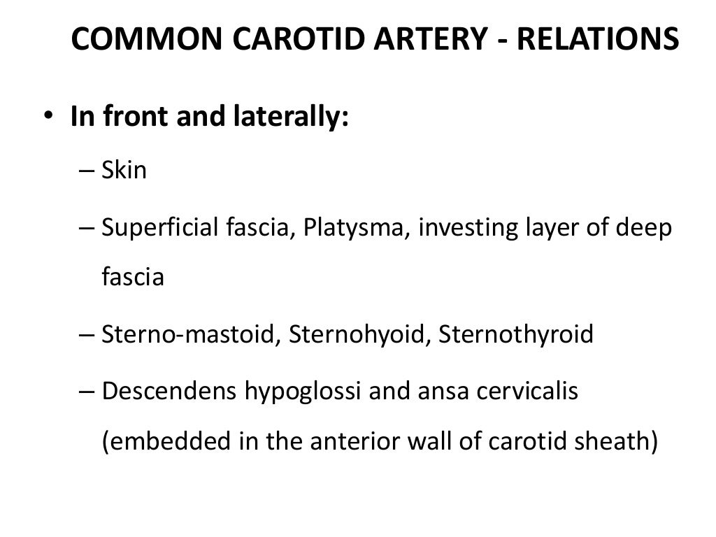 Anterior traingle of neck -1.pptx | Thyroid Disorders | Endocrine and ...