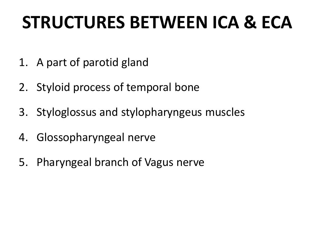 Anterior traingle of neck -1.pptx | Thyroid Disorders | Endocrine and ...