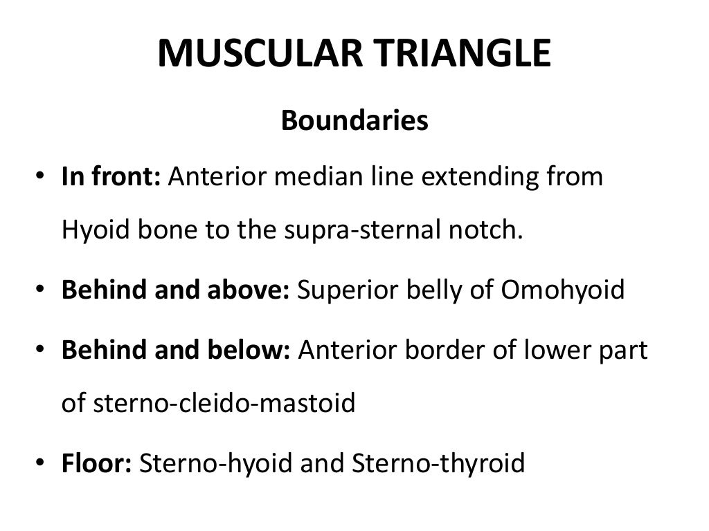 Anterior traingle of neck -1.pptx | Thyroid Disorders | Endocrine and ...