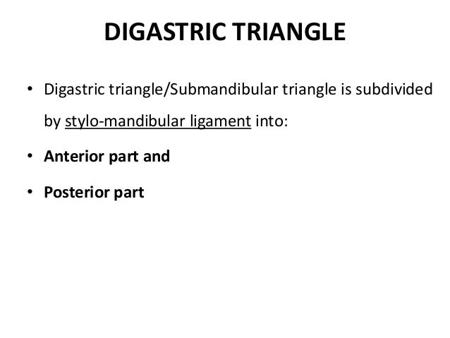 Anterior traingle of neck -2.pptx