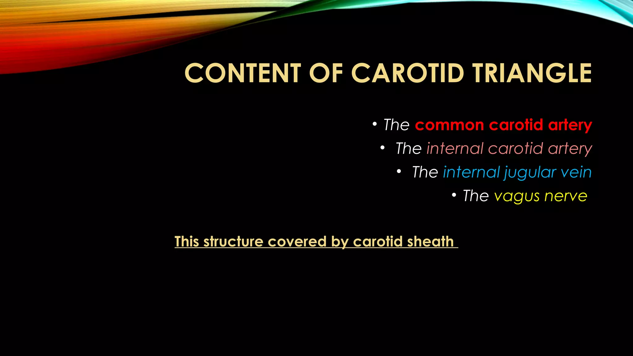 Anterior triangle of the neck | PPT