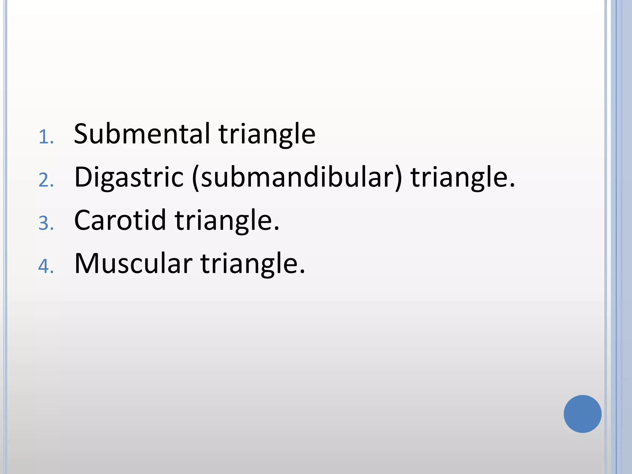 Anterior triangle of neck | PDF
