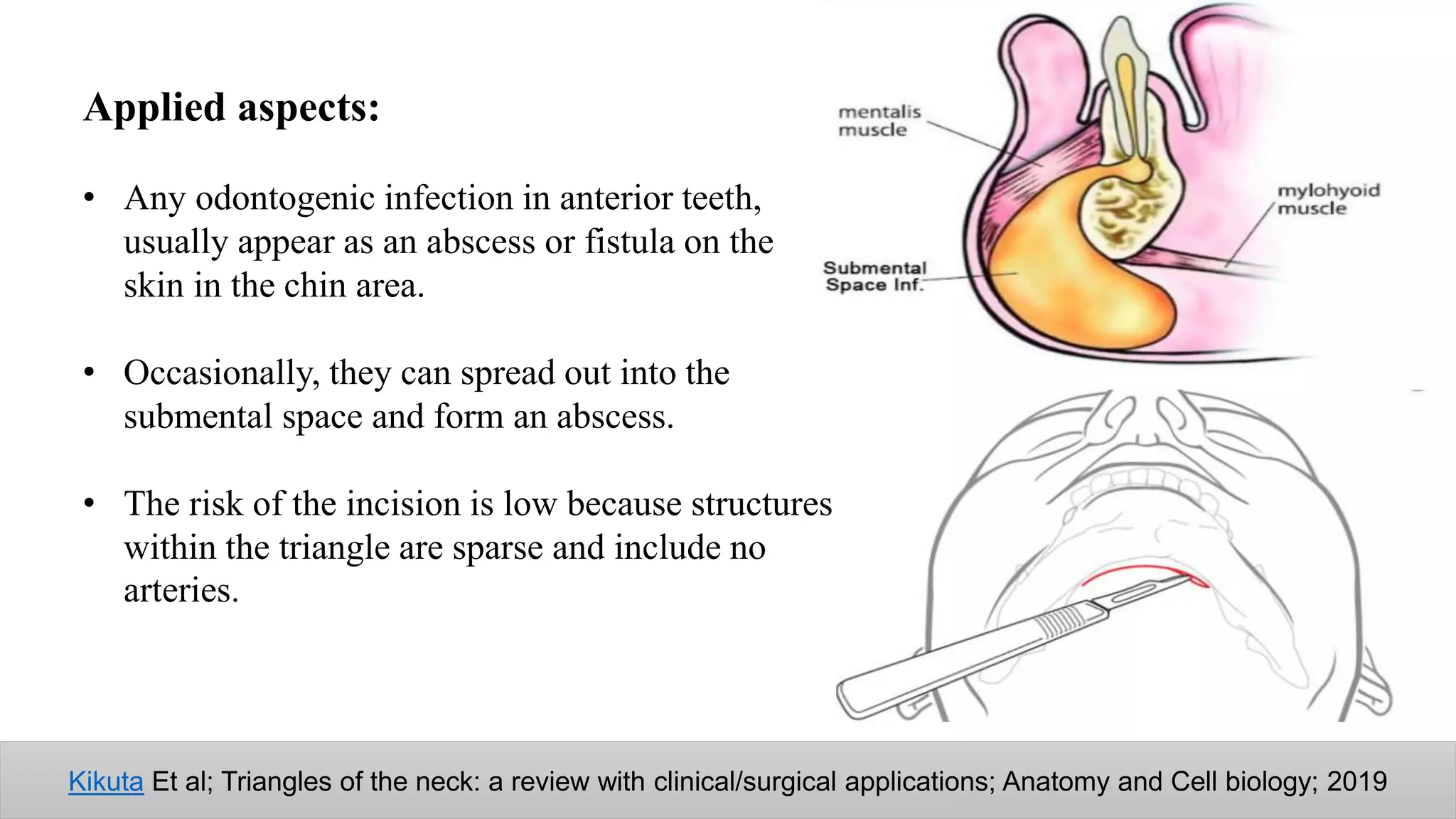 Anterior triangles of neck | PPTX