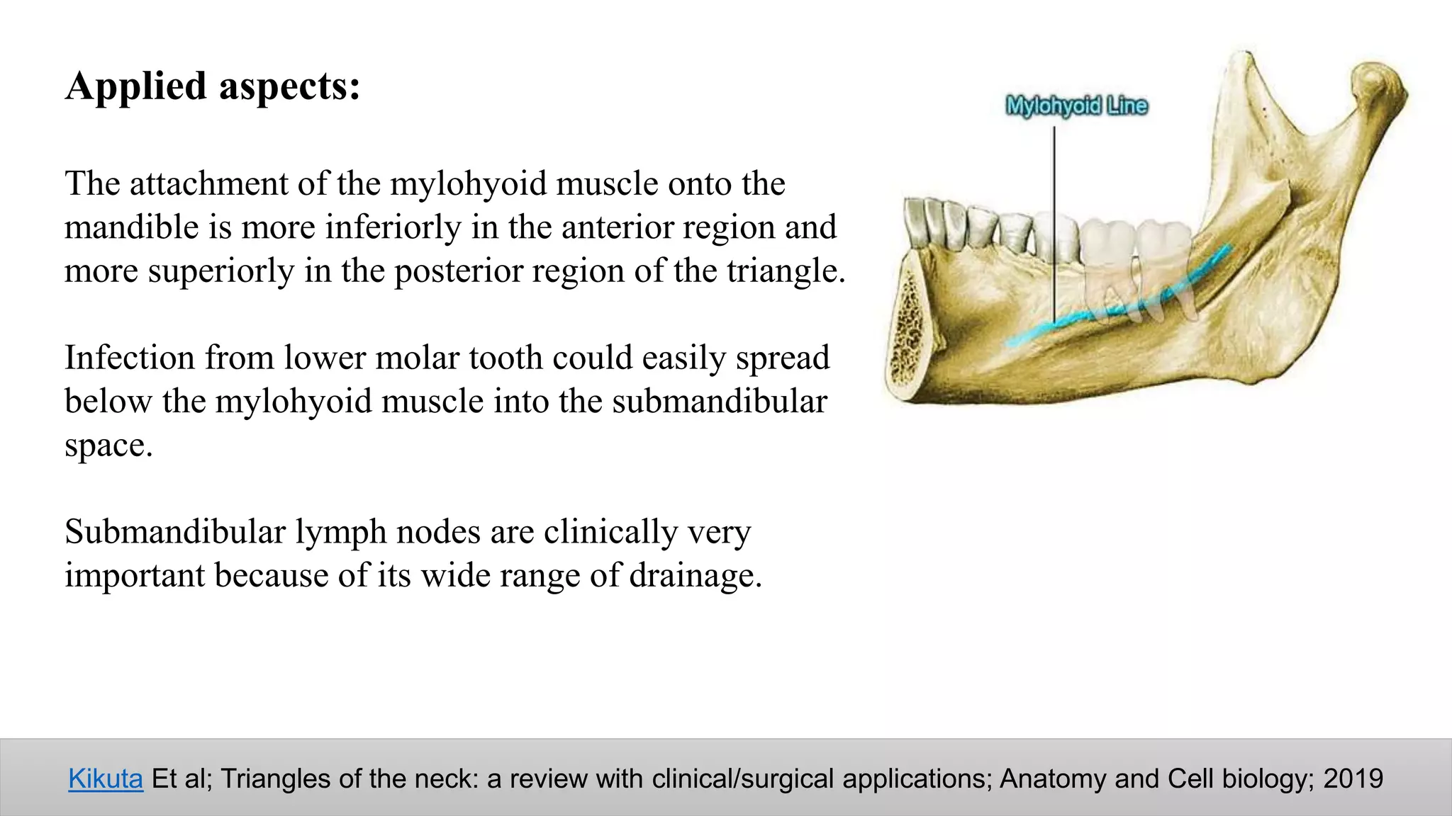 Anterior triangles of neck | PPTX