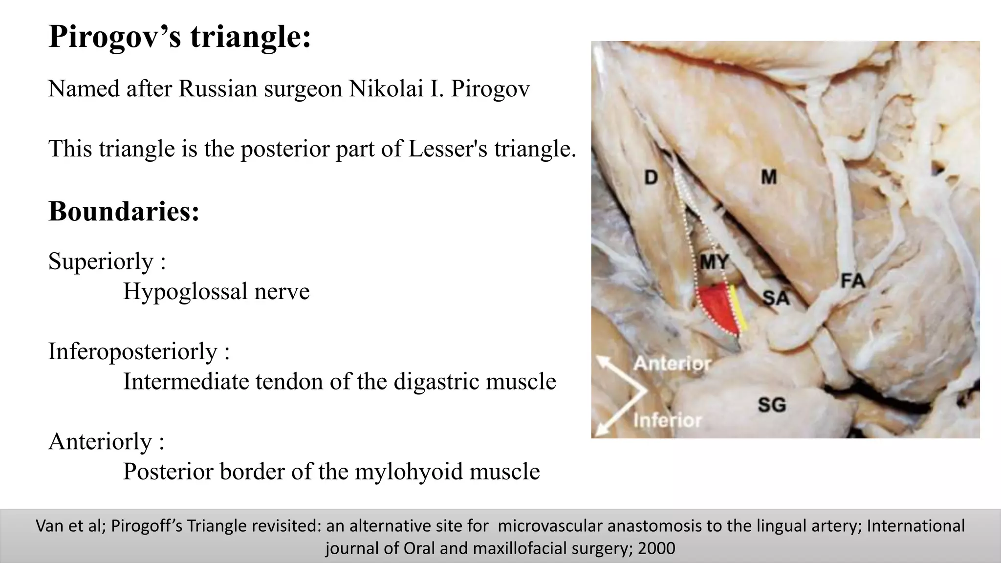 Anterior triangles of neck | PPTX