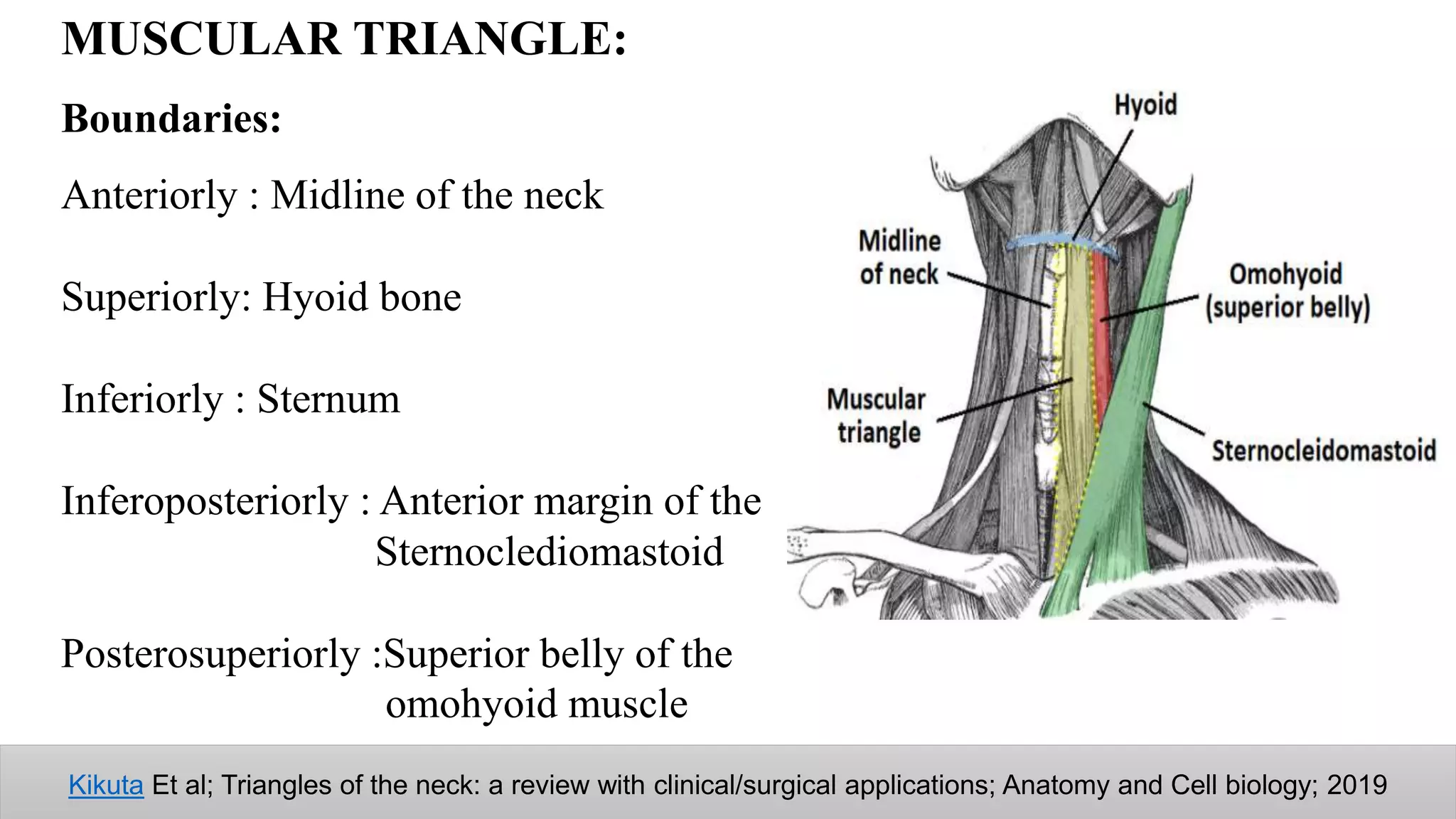 Anterior triangles of neck | PPTX