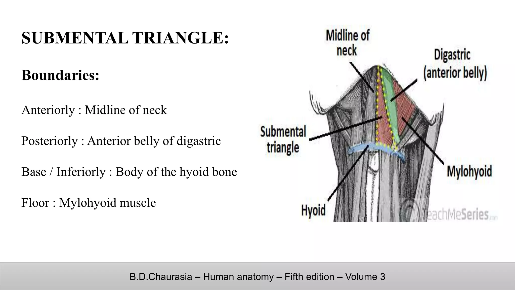 Anterior triangles of neck | PPTX