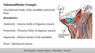 Anterior triangles of neck | PPTX