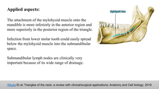 Anterior triangles of neck | PPTX