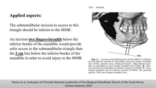 Anterior triangles of neck | PPTX