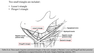 Anterior triangles of neck | PPTX