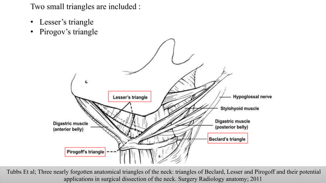 Anterior triangles of neck | PPTX | Death, Injury, or Military Conflict ...