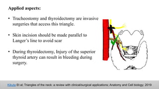 Anterior triangles of neck | PPTX | Death, Injury, or Military Conflict ...