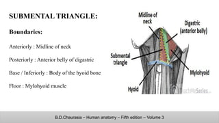 Anterior triangles of neck | PPTX