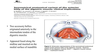 Anterior triangles of neck | PPTX