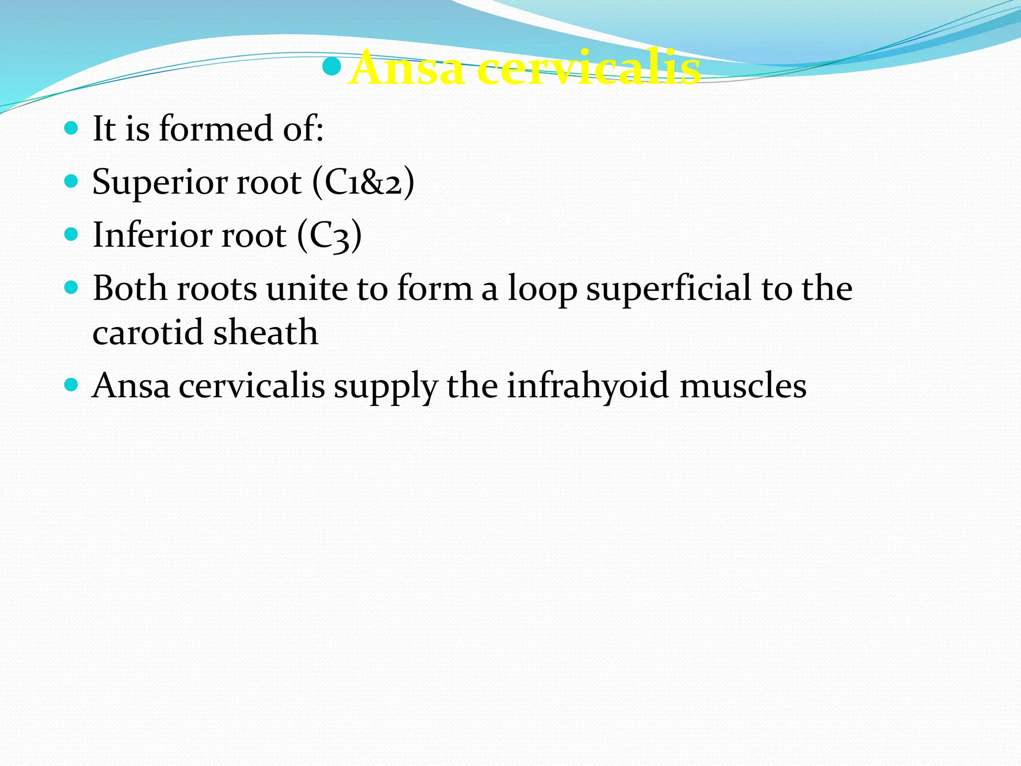 ANTERIOR TRIANGLE OF THE NECK AND IT'S CONTENT | PPTX