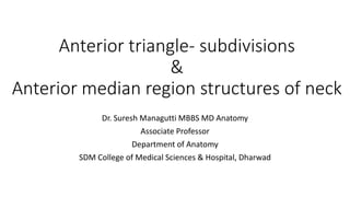 Anterior triangle- subdivisions & Anterior median region structures of ...