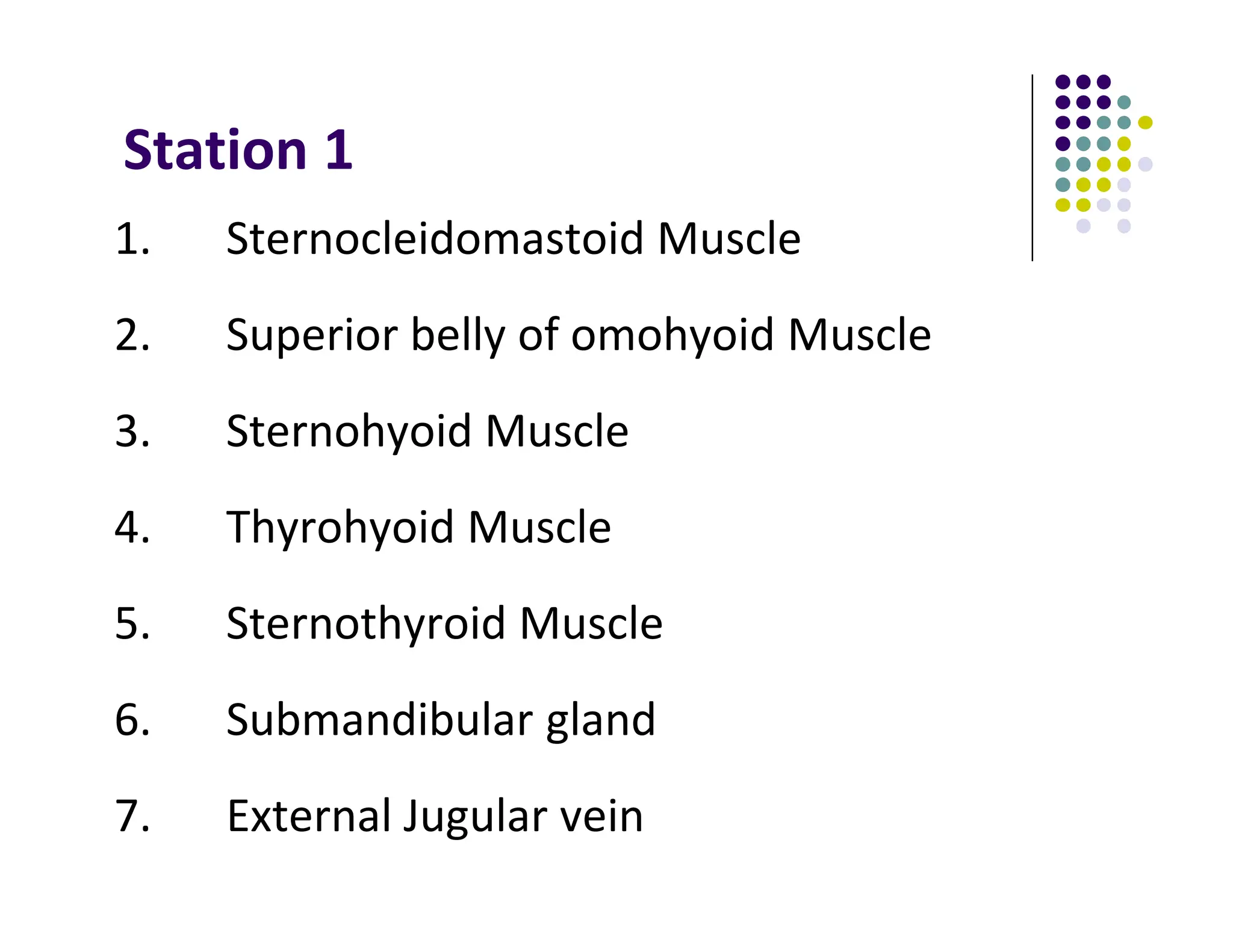 Anterior triangle lab its is very good for medical students and heath .pdf