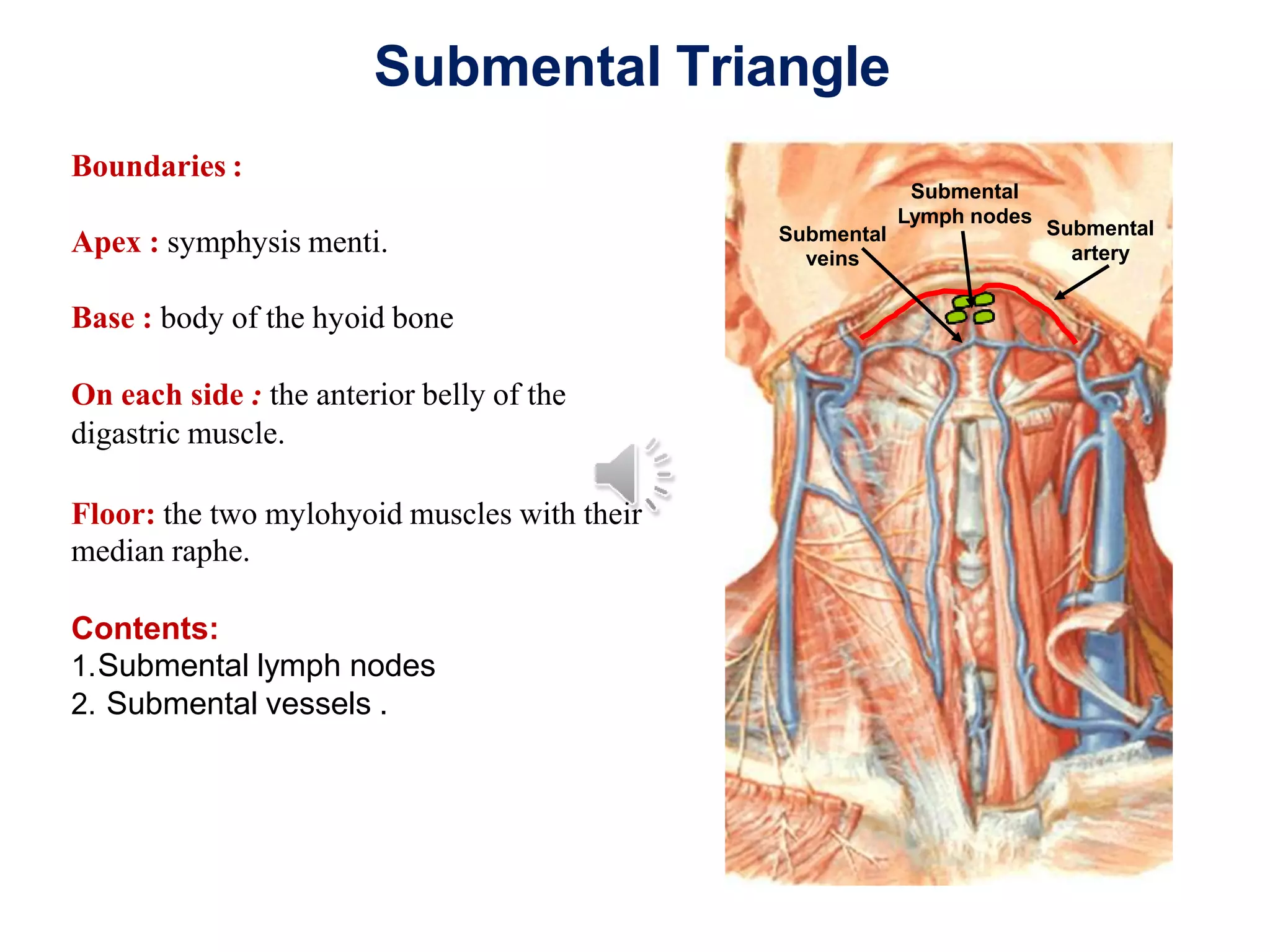 Anterior triangle of neck | PPTX