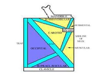 Anterior triangle of neck.pptx