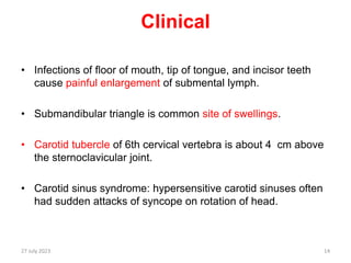Anterior triangle of neck - Copy.pptx