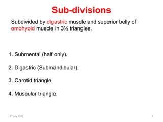 Anterior triangle of neck - Copy.pptx