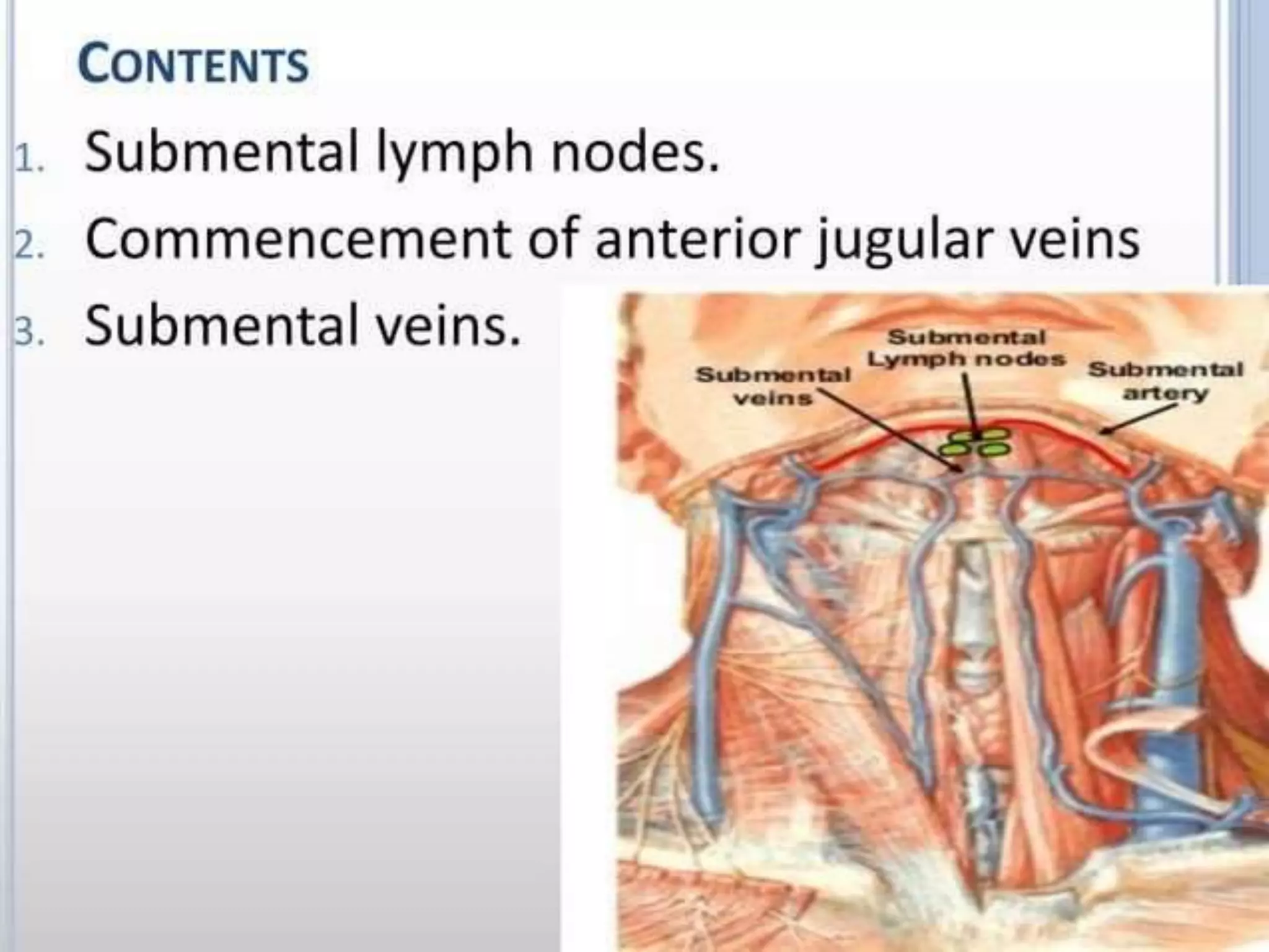 anterior triangle of neck supra and infra hoid muscle.pptx