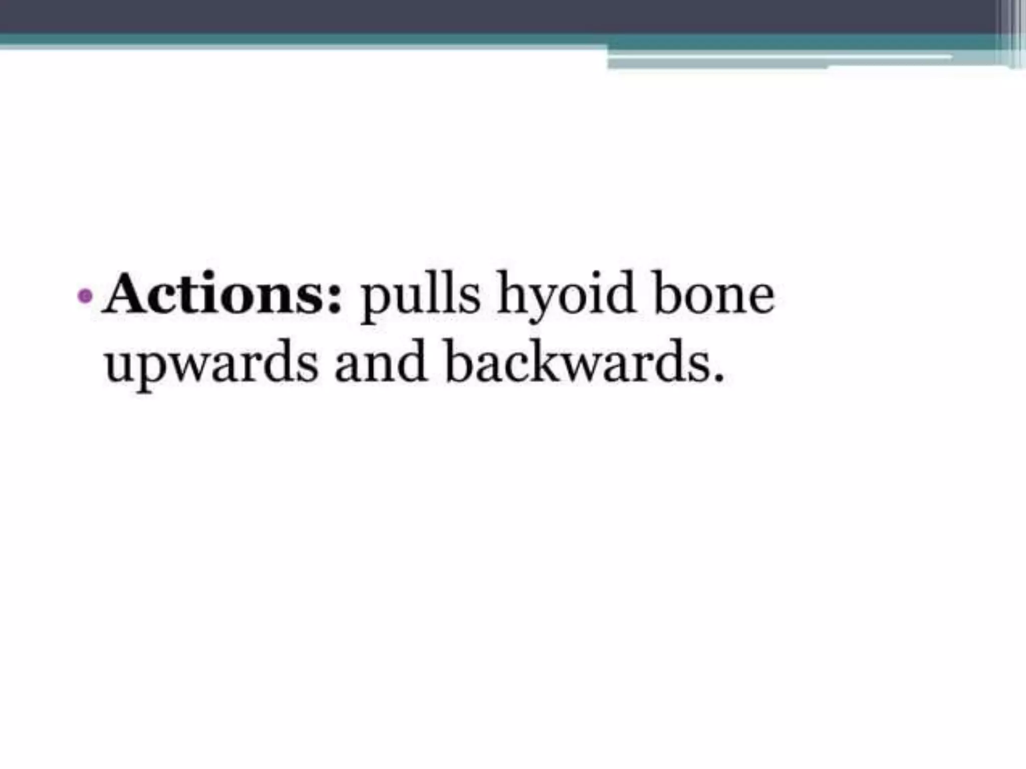 anterior triangle of neck supra and infra hoid muscle.pptx