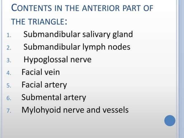 anterior triangle of neck supra and infra hoid muscle.pptx