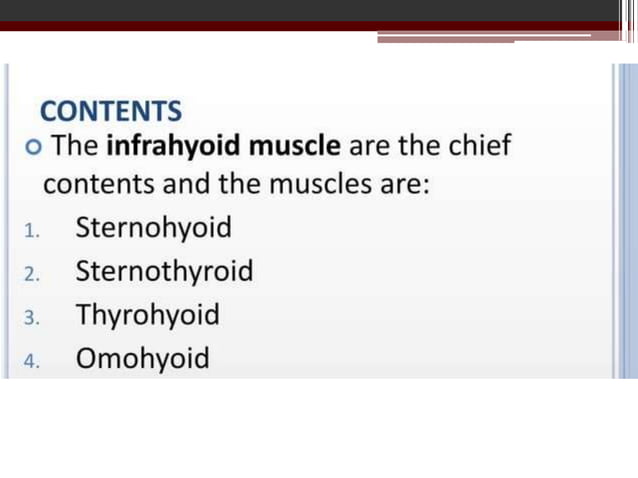 anterior triangle of neck supra and infra hoid muscle.pptx