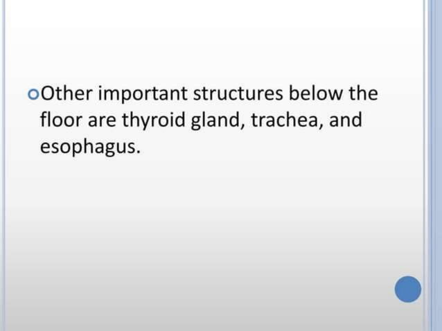 anterior triangle of neck supra and infra hoid muscle.pptx