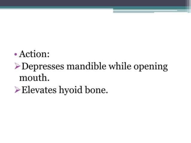 anterior triangle of neck supra and infra hoid muscle.pptx