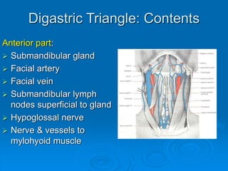 Anterior Triangle of the Neck.ppt tobegones | PPT