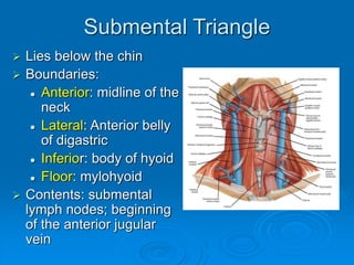 Anterior Triangle of the Neck.ppt tobegones | PPT | Thyroid Disorders ...