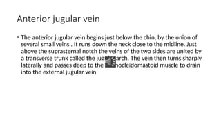 Anterior triangle of the neck.pptx112233 | PPTX
