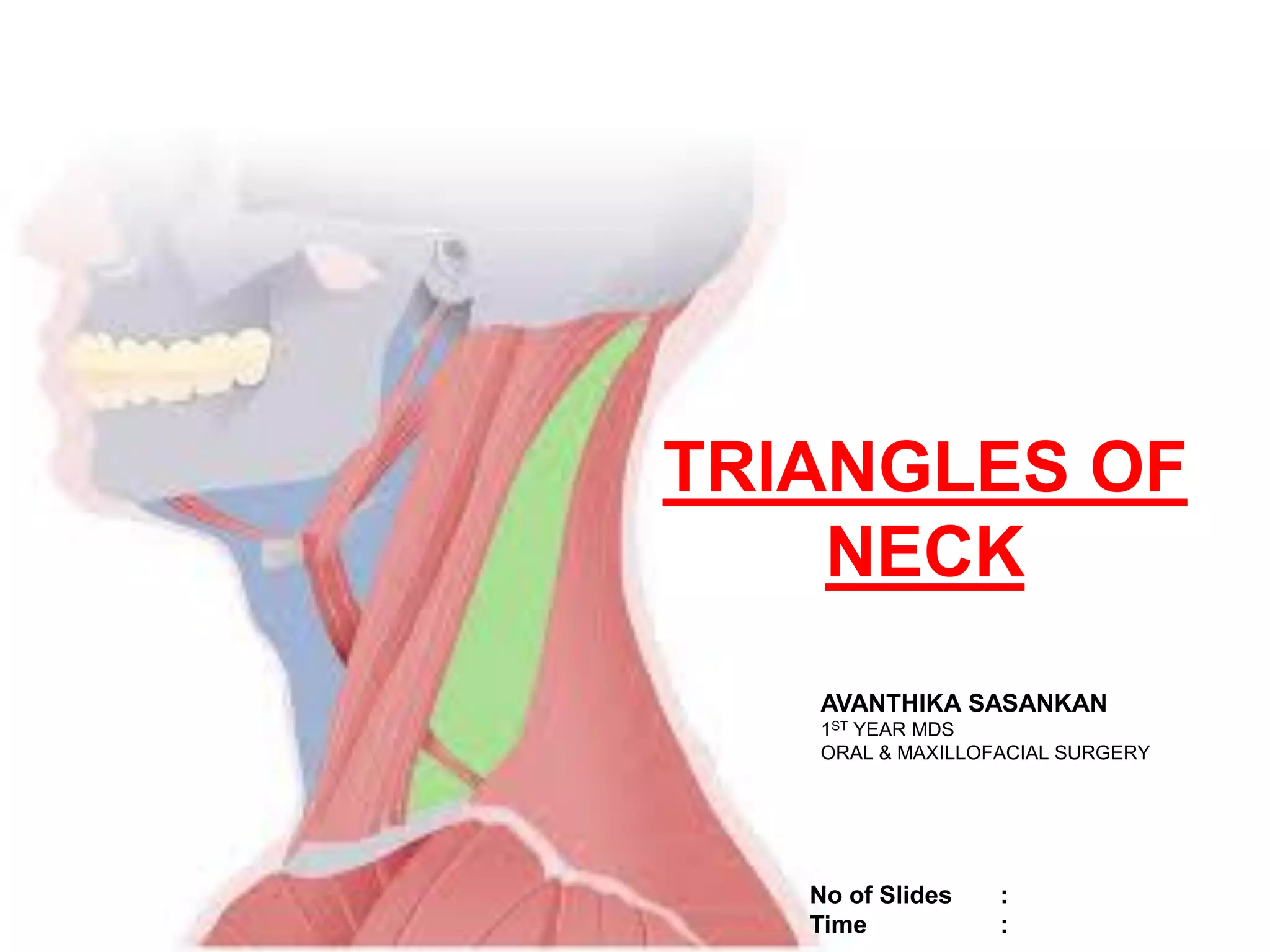 TRIANGLES OF NECK | PDF