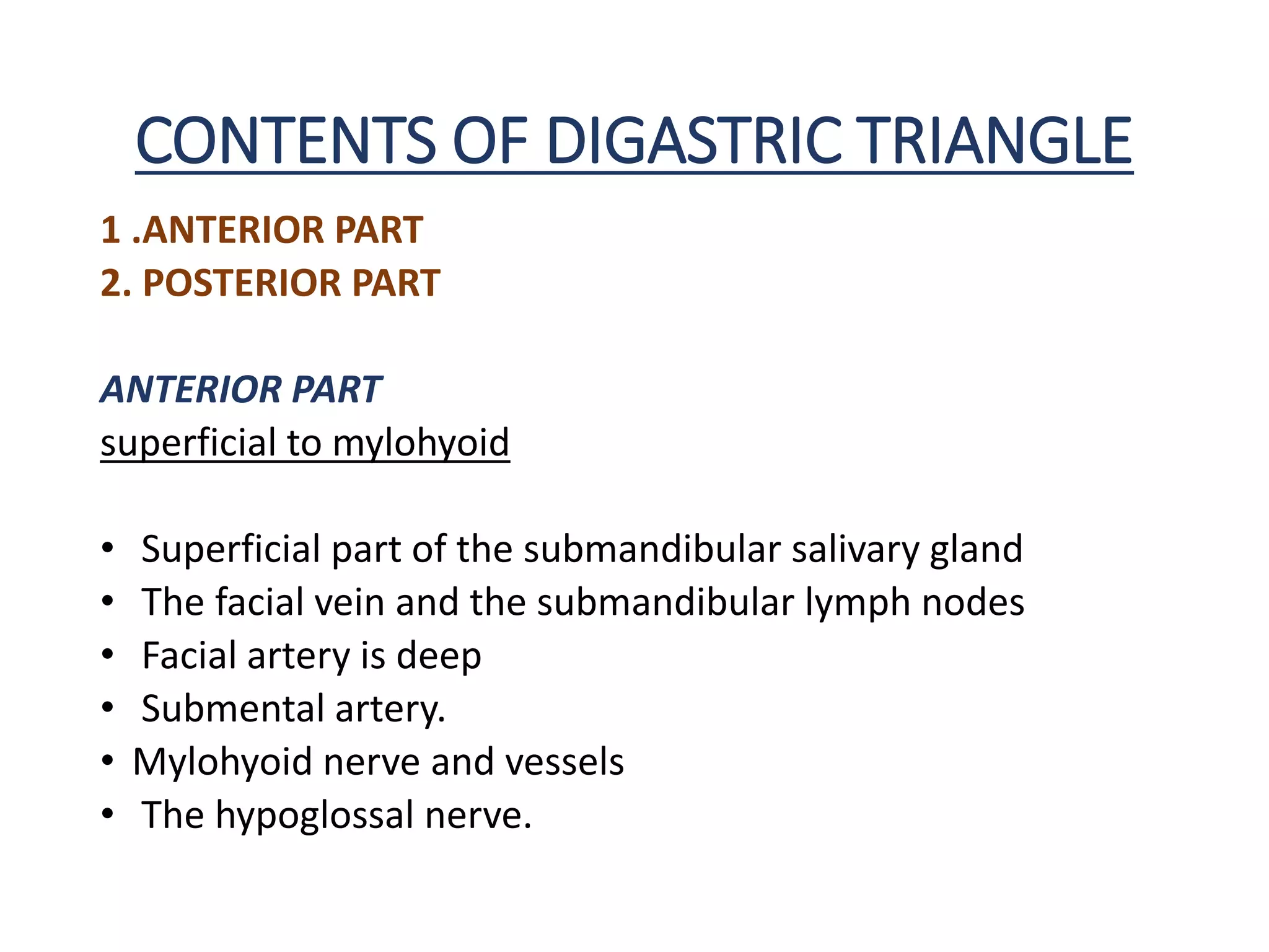 TRIANGLES OF NECK | PDF