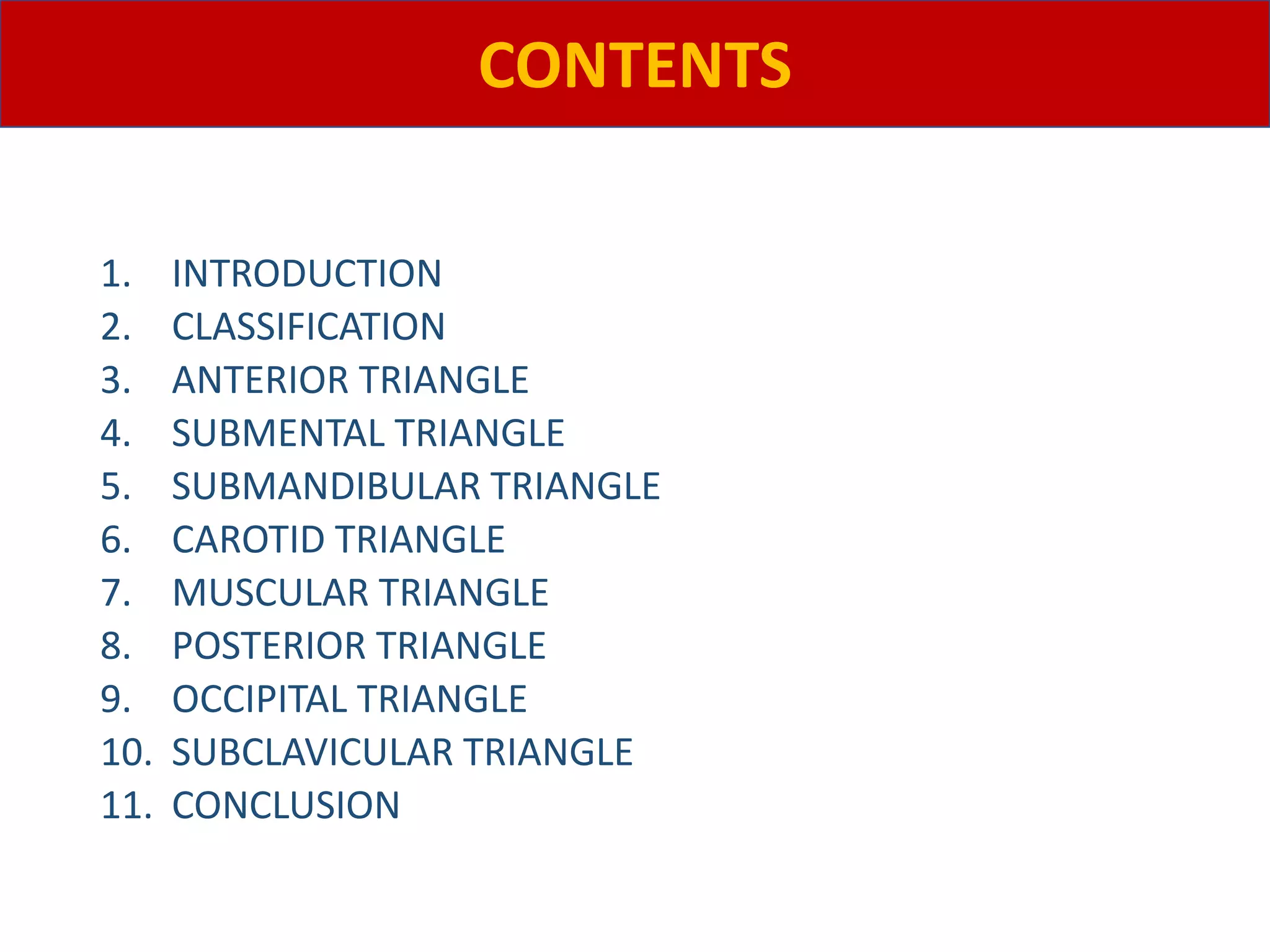 TRIANGLES OF NECK | PDF