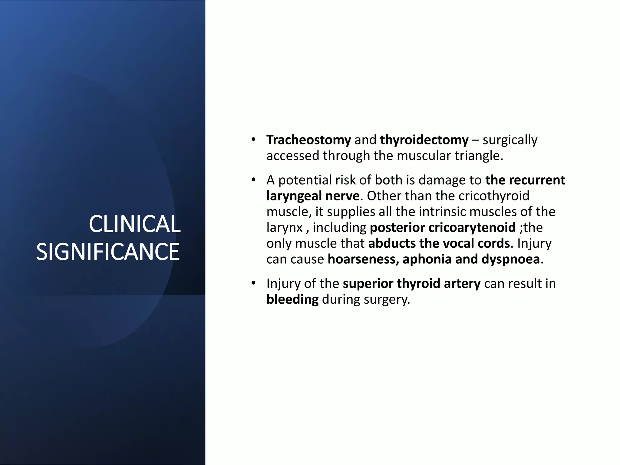 TRIANGLES OF NECK | PDF