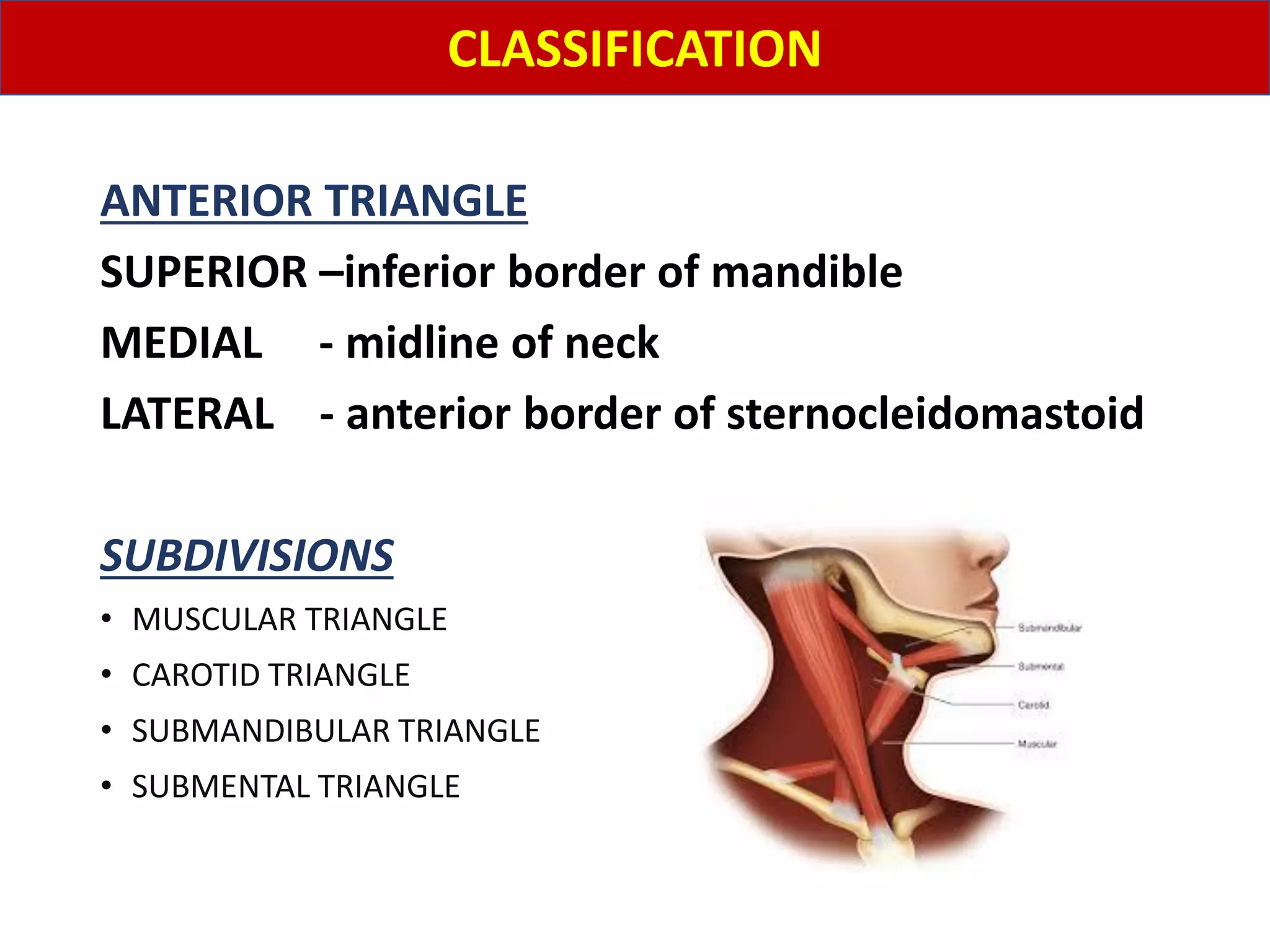 TRIANGLES OF NECK | PDF