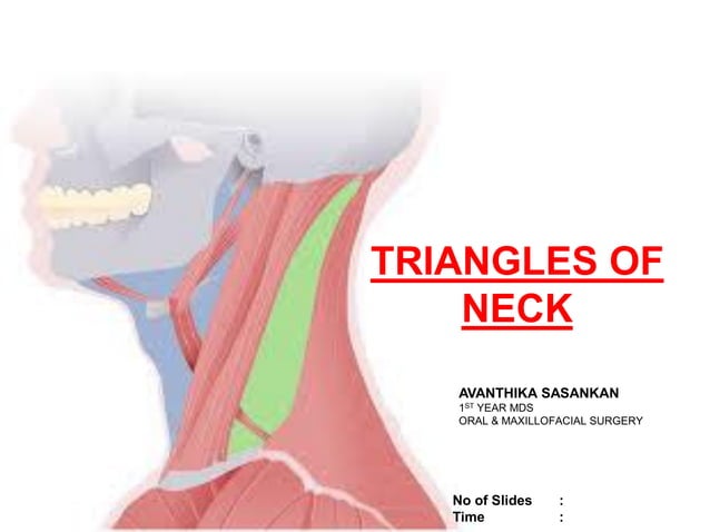 TRIANGLES OF NECK | PDF