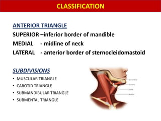 TRIANGLES OF NECK | PDF