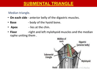 TRIANGLES OF NECK | PDF