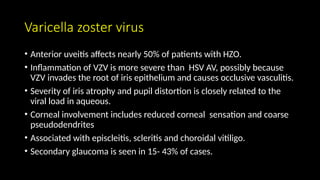 Anterior uveitis- thesis seminar Dr. Mahesh (1).pptx