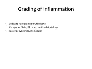 Anterior_Uveitis_Diagnostic_Approach_Presentation.pptx