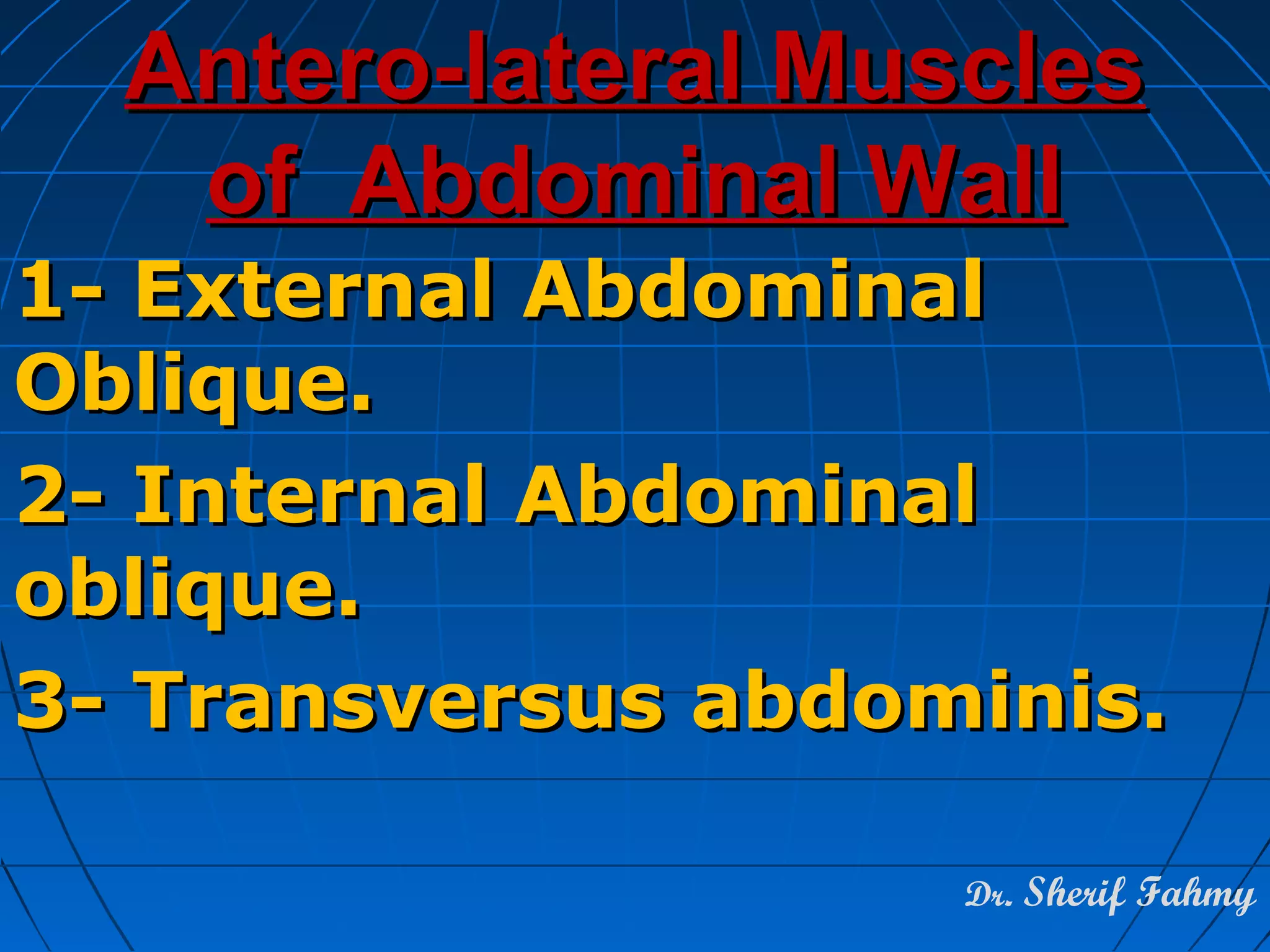 Antero-Lateral Abdominal Wall (Anatomy of the Abdomen) | PPS