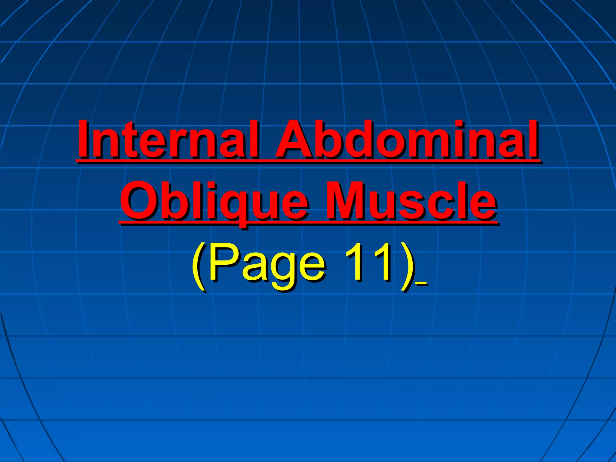 Antero-Lateral Abdominal Wall (Anatomy of the Abdomen) | PPS
