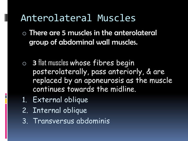 Anterolateral abdominal wall (rectus sheath) & hernia | PPTX
