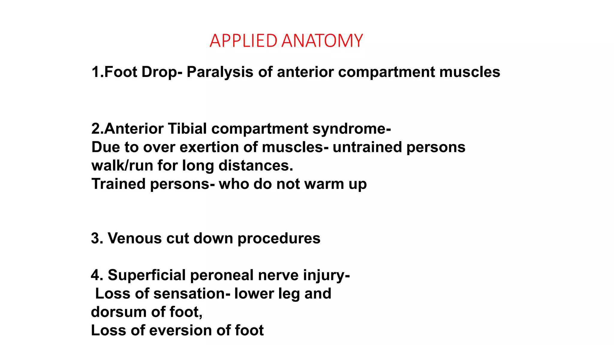 ANTEROLATERAL LEG.pptx