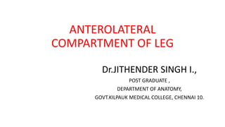 ANTEROLATERAL LEG.pptx